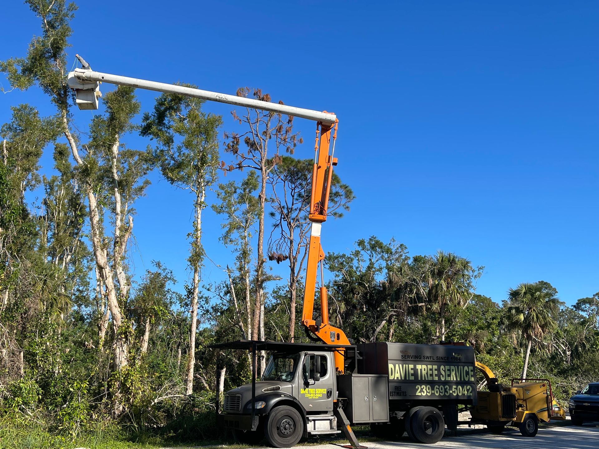 Davie Tree Services