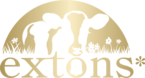 Expert cheese packing and slicing company | EXTONS FOOD 2023 Manchester