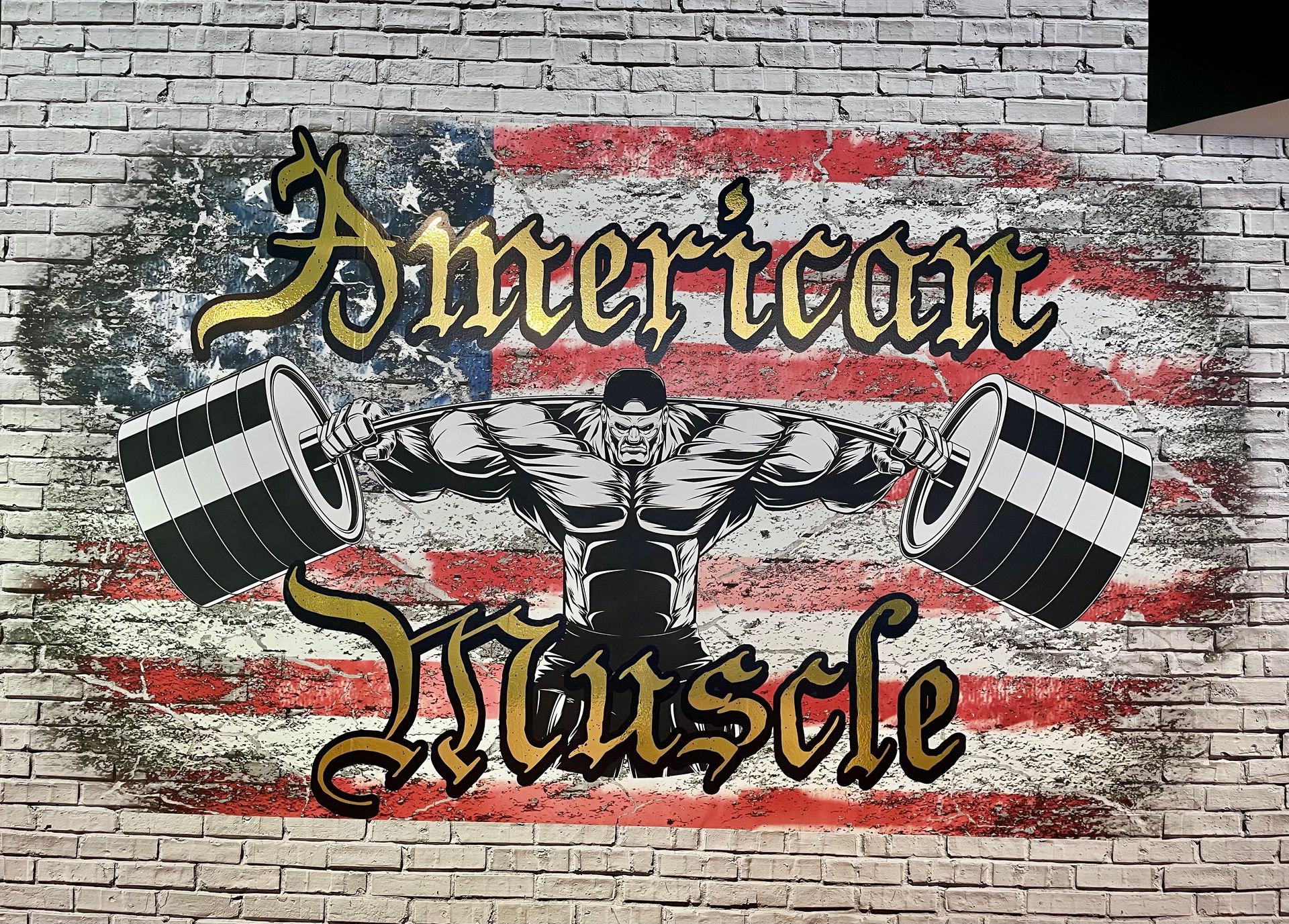 Outdoor Gym Facility | American Muscle | Oakville