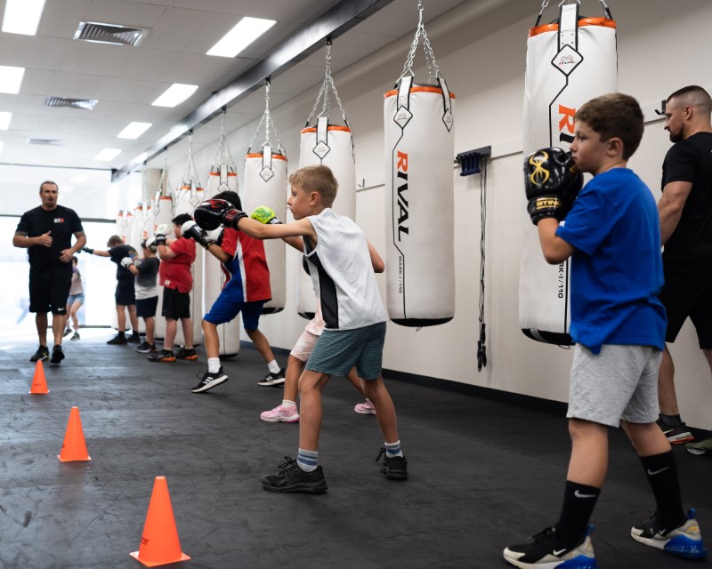 Box On Boxing Gallery