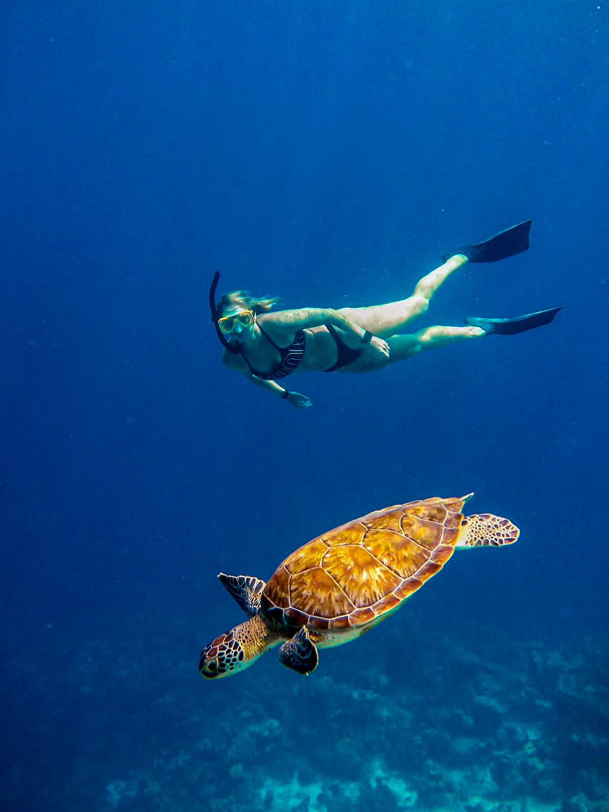 Snorkeling on Bonaire | Blue Bay Bonaire