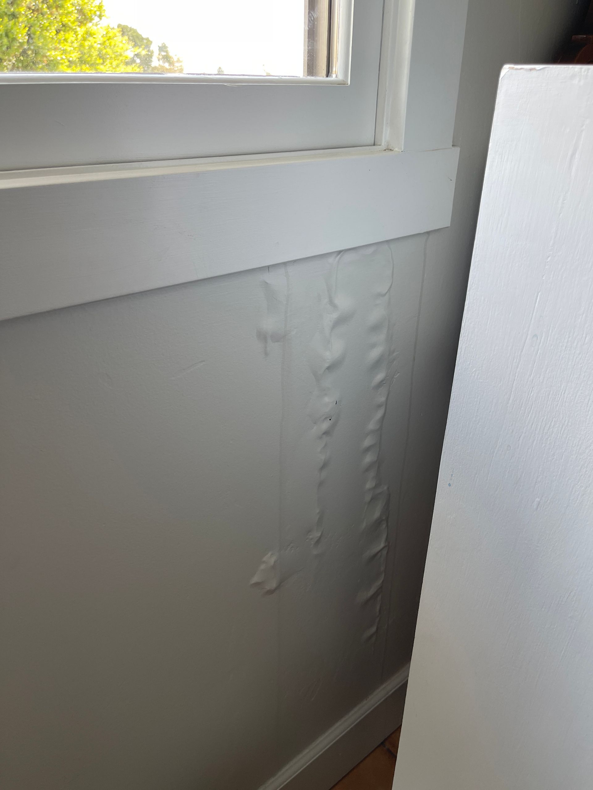 Understanding the Causes of Mold Growth in Your Home