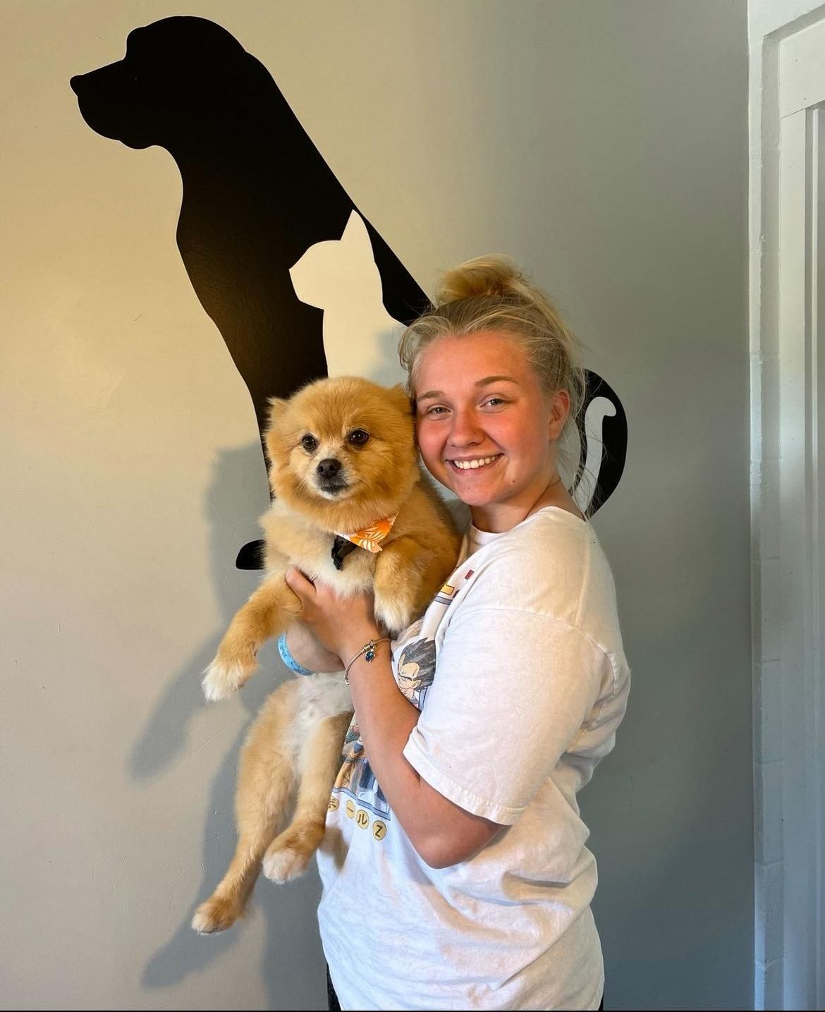 Dog Grooming Services | Butler, PA | Whispering Winds Boarding Kennel