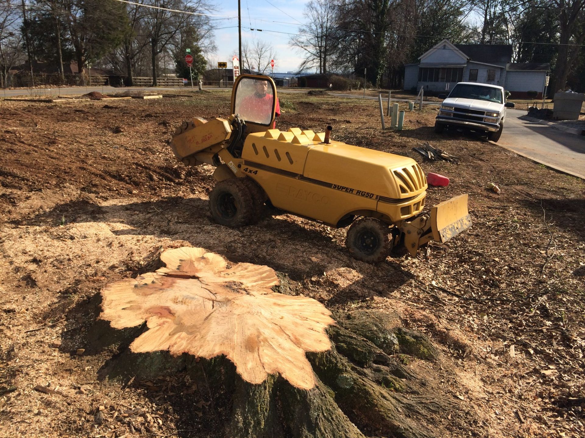 Tree Services | TSL Tree Service & Landscaping | SC