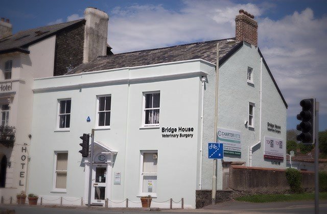 Bridge House Veterinary Surgery