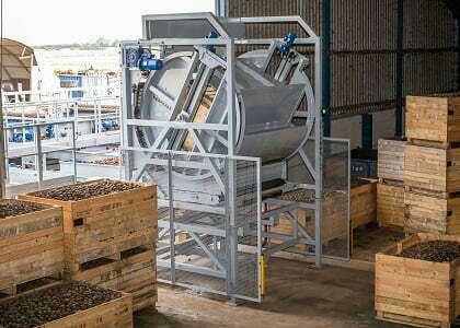 Vegetable Processing