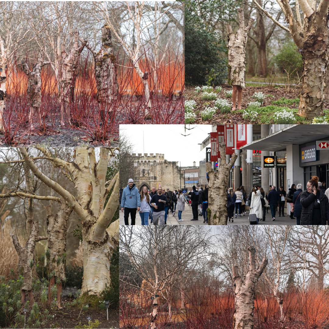 Sulpture course for emerging artists hampshire