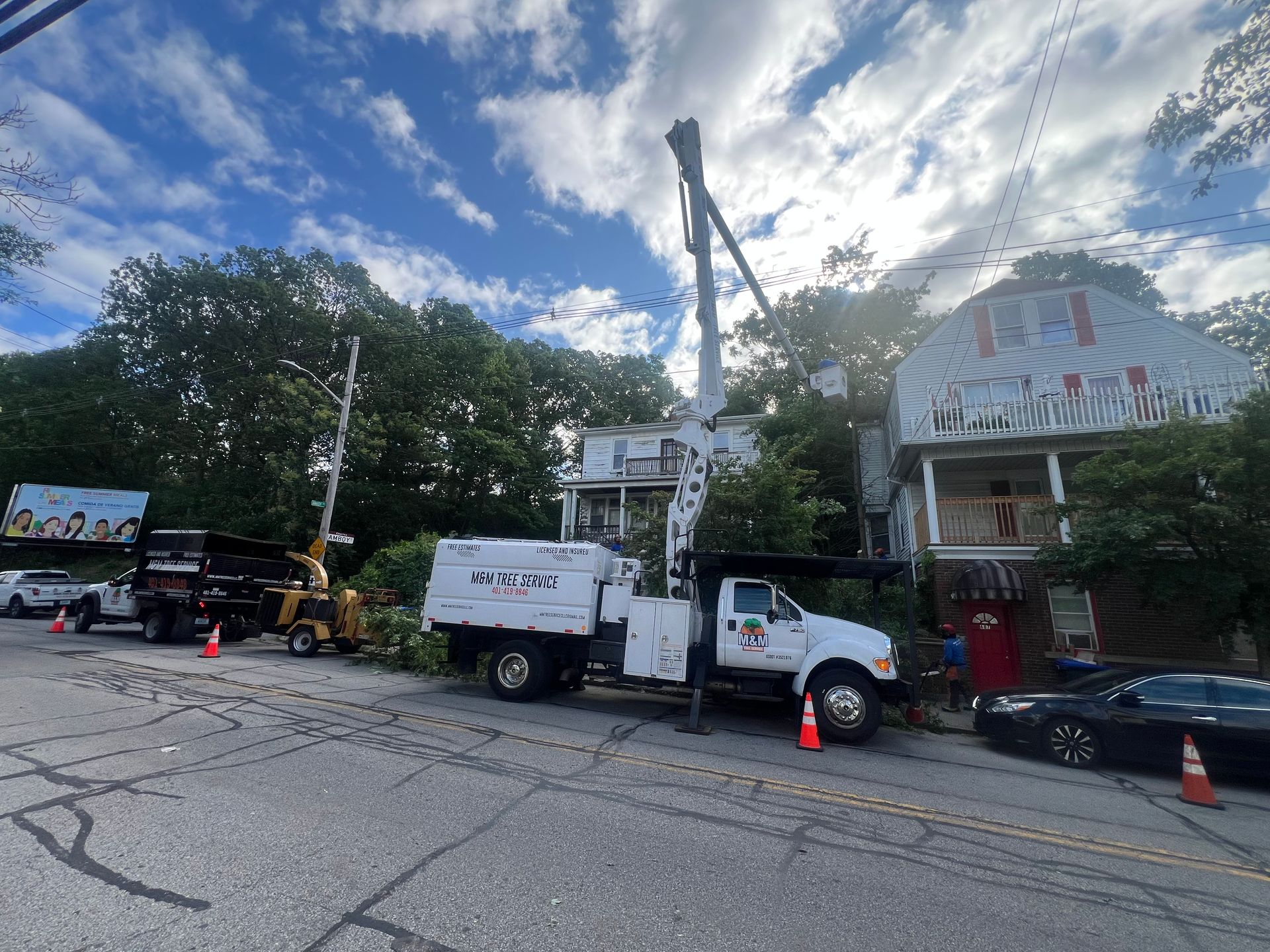 Tree Removal & Trimming in Rhode Island | M&M Tree Service