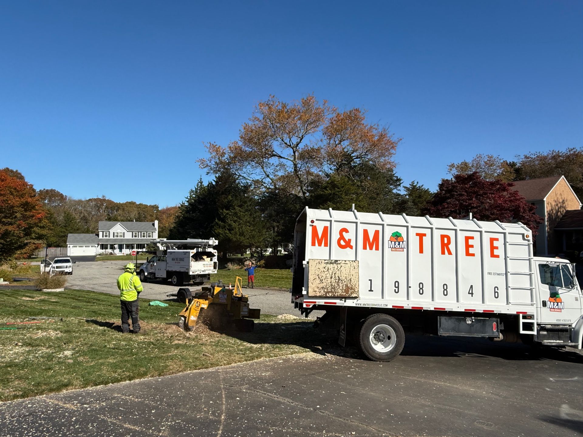 Tree Removal & Trimming in Rhode Island | M&M Tree Service
