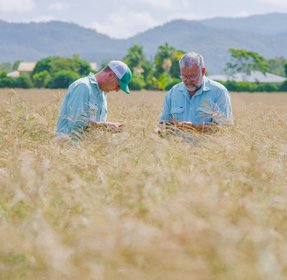 Products | Selected Seeds