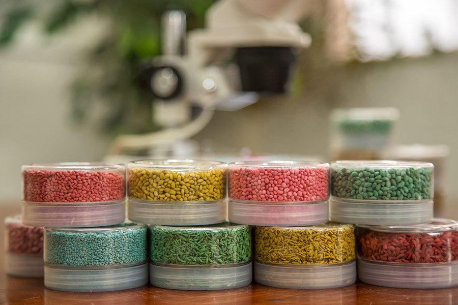 Products | Selected Seeds