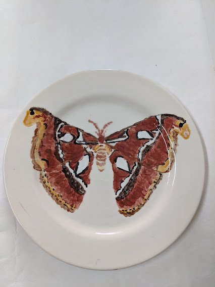 Looking for beautiful pottery for your home?