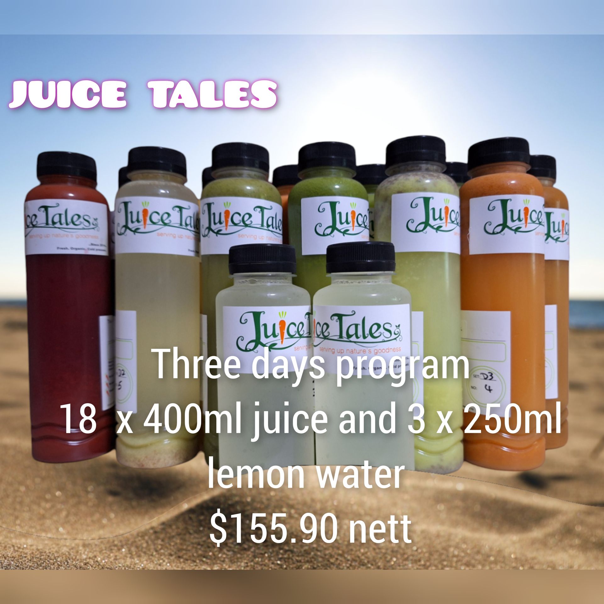 3 Days Introductory Programs