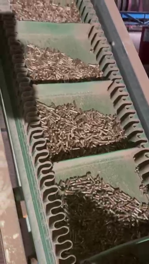 Turnkey EFB Pellet & Briquette Plant Setup