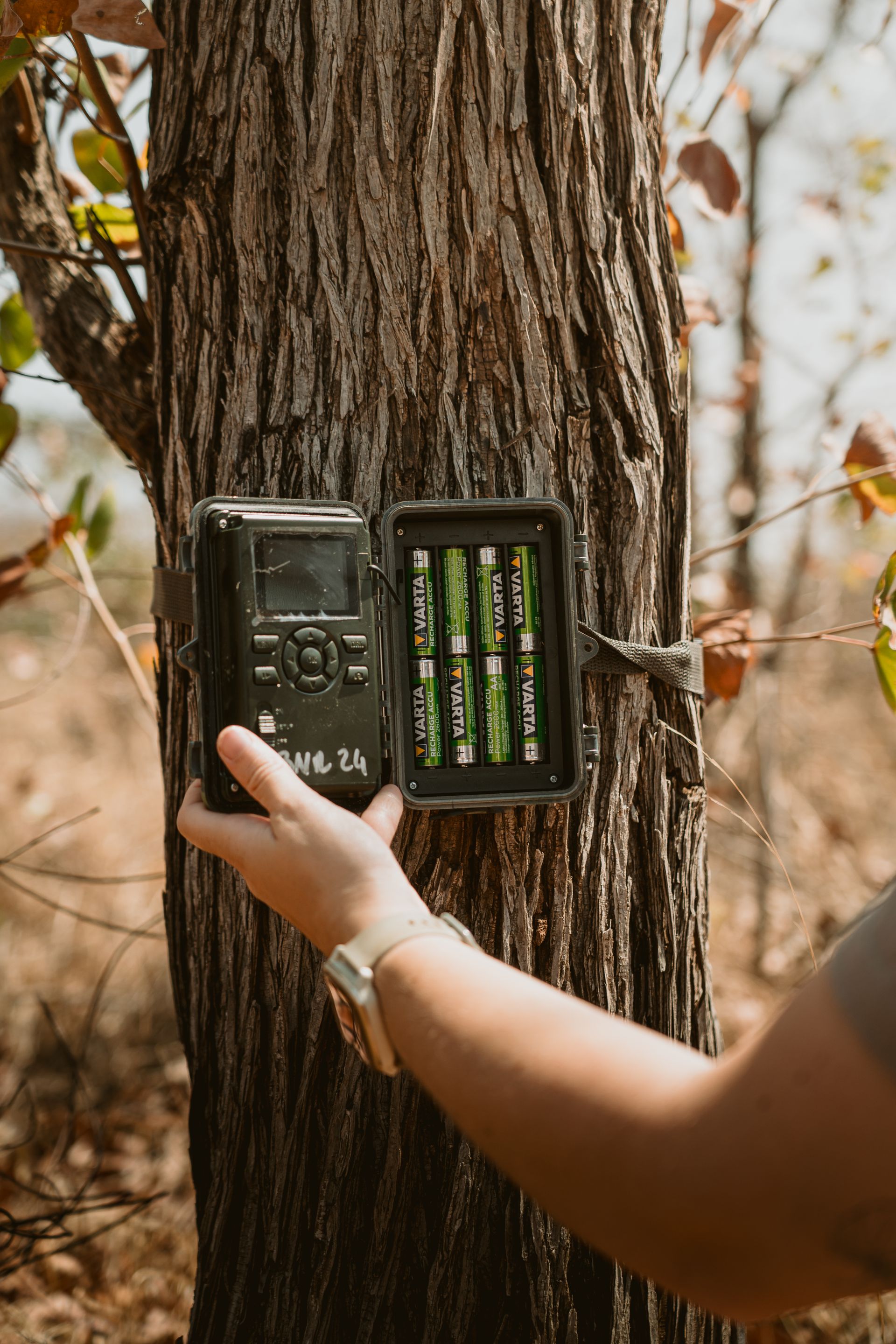 Purpose in the Wild: Exploring African Conservation Safaris with Bundox ...