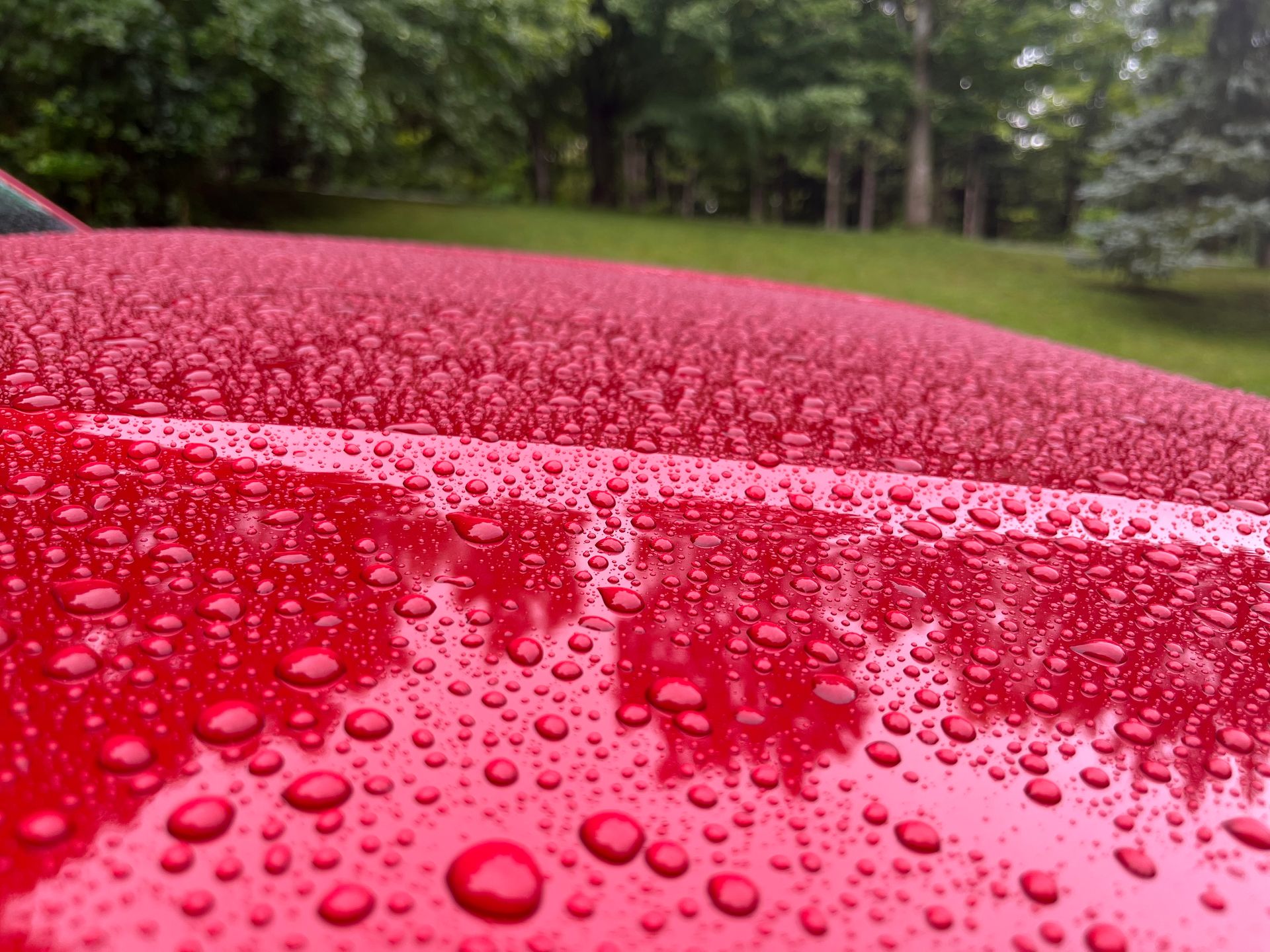 Ceramic Coating | Skyline Shine