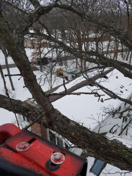 Tree & Snow Removal Company Madison, Middleton Sun Prairie WI | Stump ...