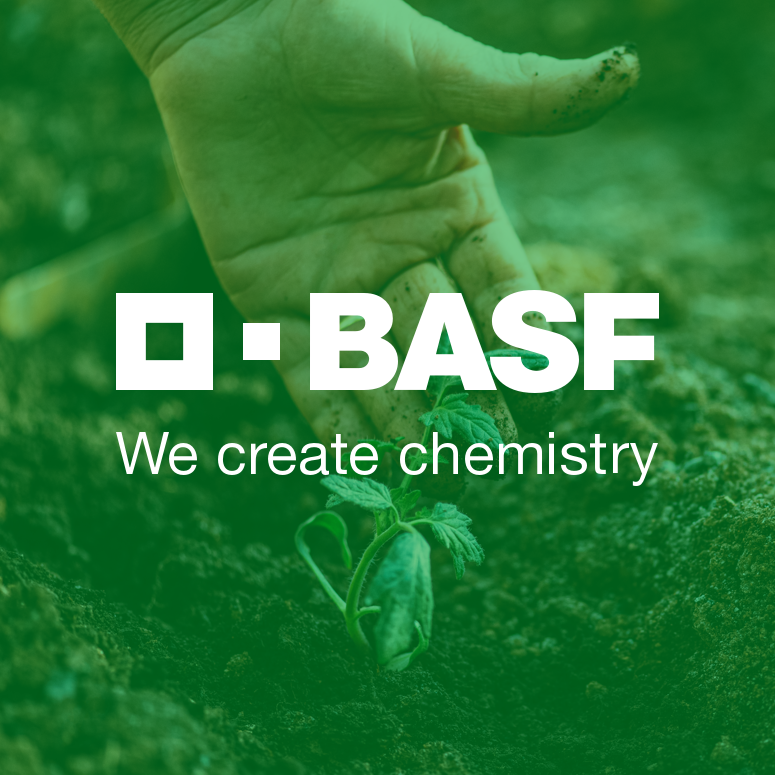 Maria Stein Grain - Agronomy | Grain | Feed - CHEMICALS