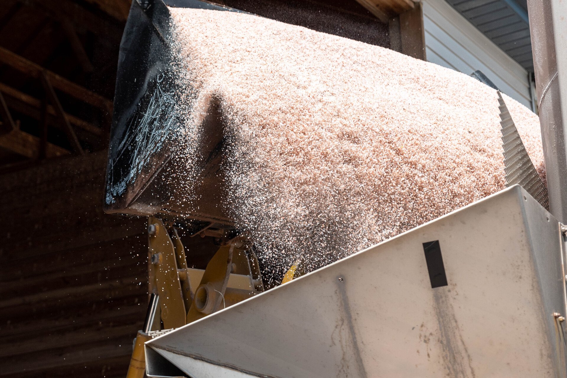 Maria Stein Grain - Agronomy | Grain | Feed - FERTILIZER