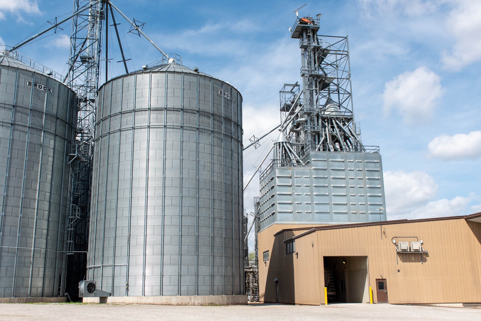 Maria Stein Grain - Agronomy | Grain | Feed - GRAIN