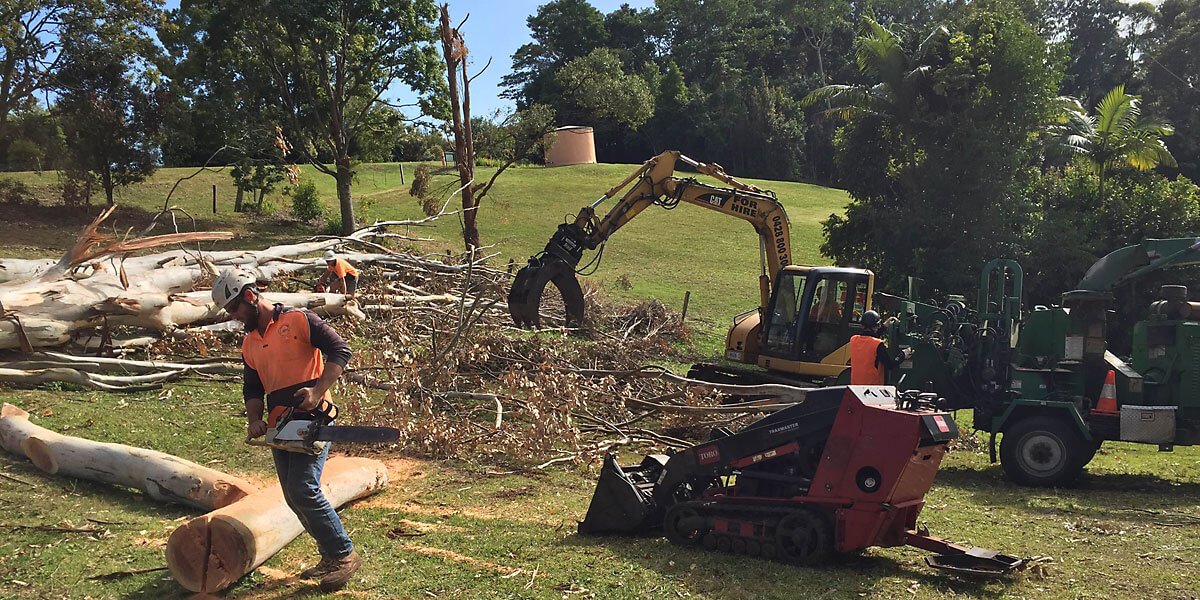 Lismore Tree Services | Steve Cubis Tree Services