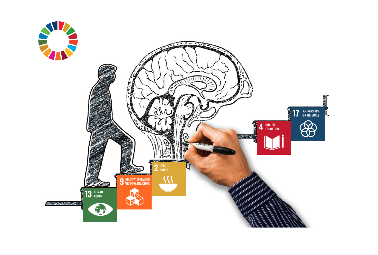 Accelerating SDG Progress through Empowering Professionals
