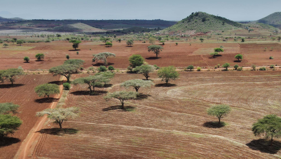 Paris Climate Agreement NDC transform food and land use systems