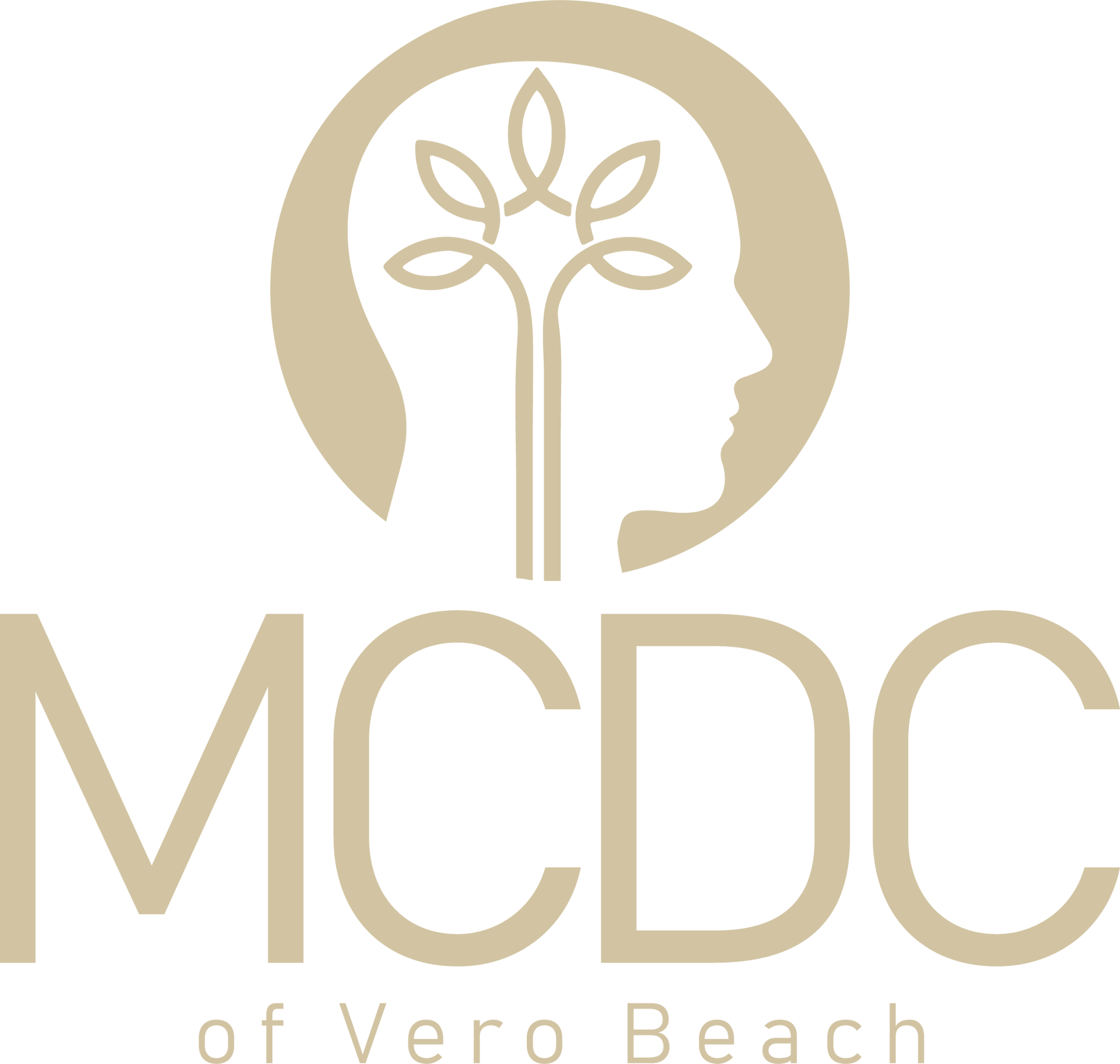 Memory & Cognitive Center | Empowering Minds