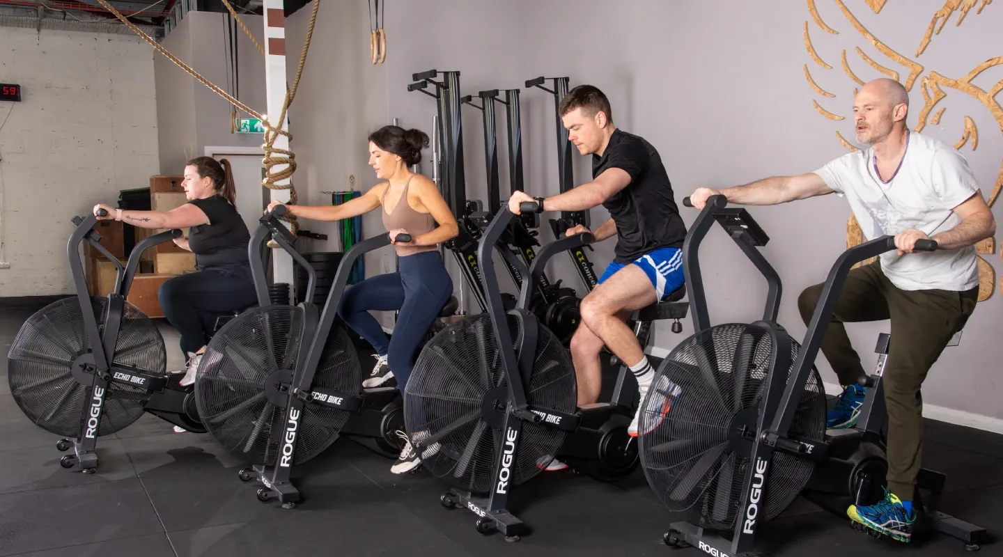 Contact Us | Wild Way Strength & Function | Galway, Ireland