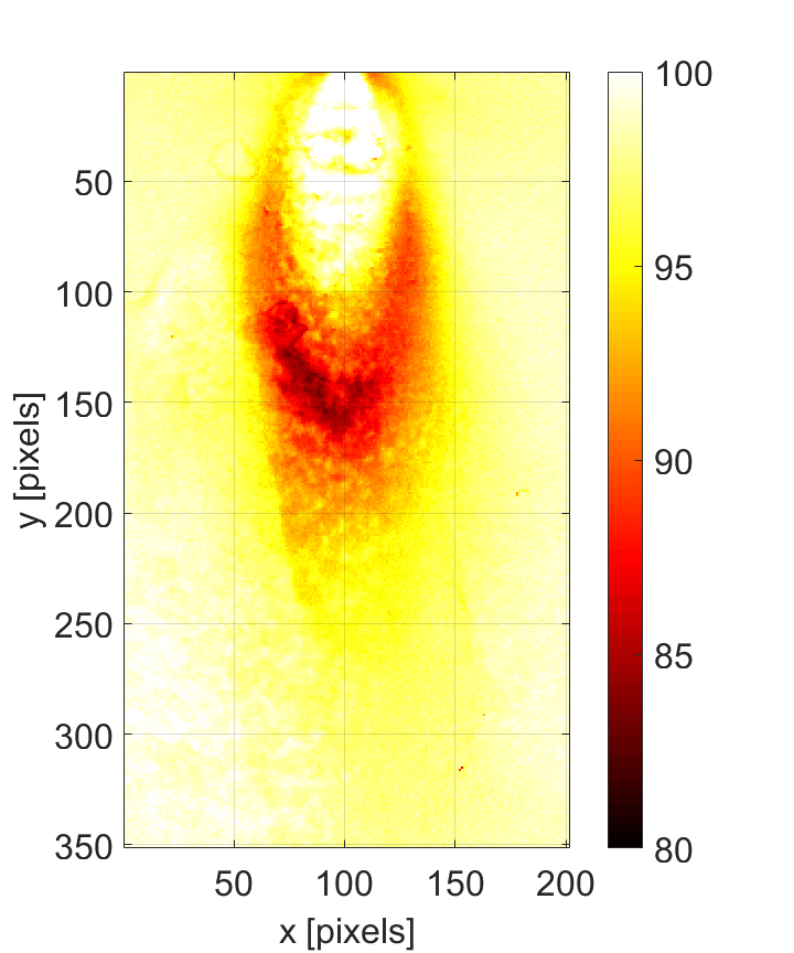 Temperature Sensitive Paints (TSP) | Optical Flow Dynamics LLC