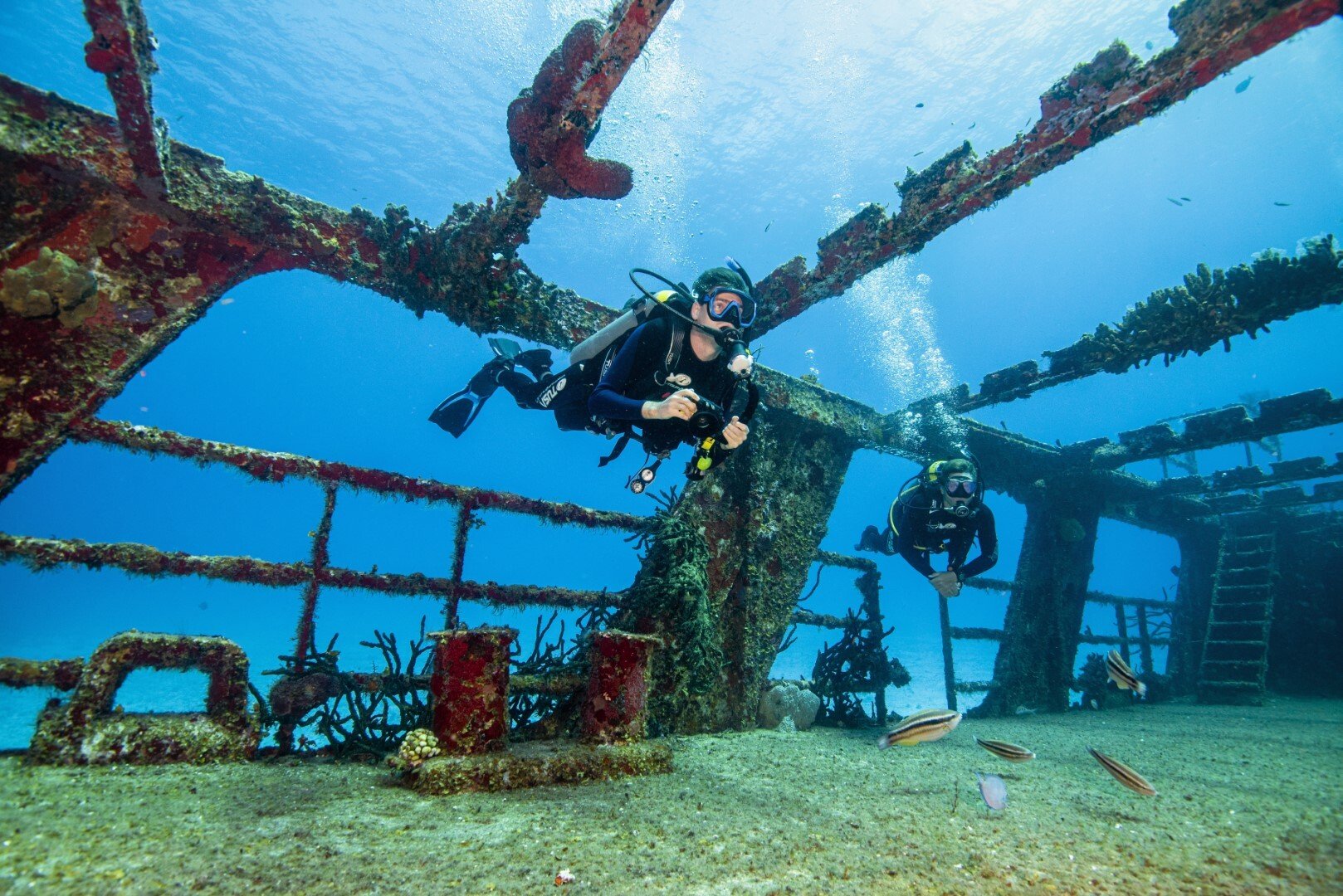 Home [www.diveisc.com]