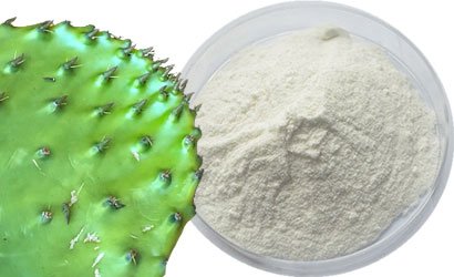 NOPAL ACTIV Juice by VHP FOODS