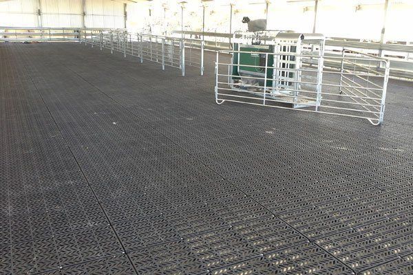 Shearing Shed Designs and Plans Australia | Magnus Australia