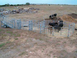 Cattle Yards Design | Magnus Australia