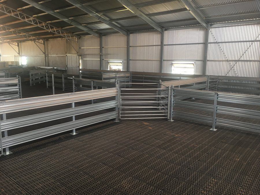 Shearing Shed Designs and Plans Australia | Magnus Australia