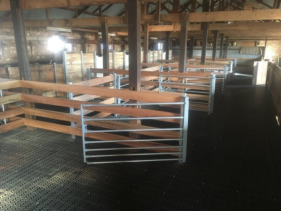 Shearing Shed Designs and Plans Australia | Magnus Australia