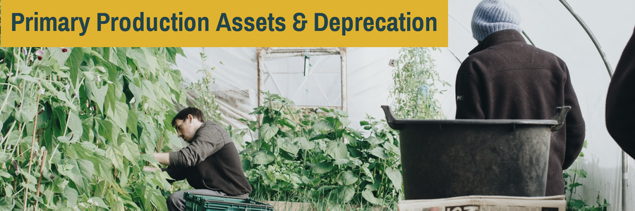 Primary Production Assets & Depreciation