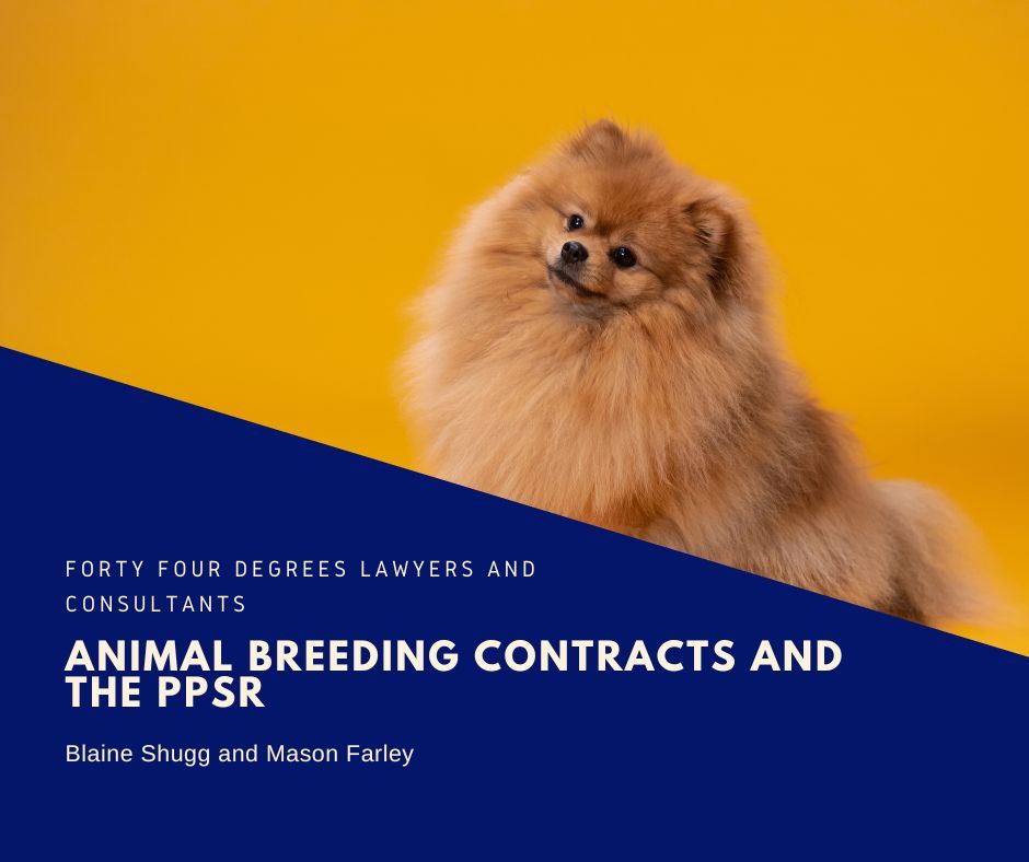 Animal Breeding Contracts and the PPSR