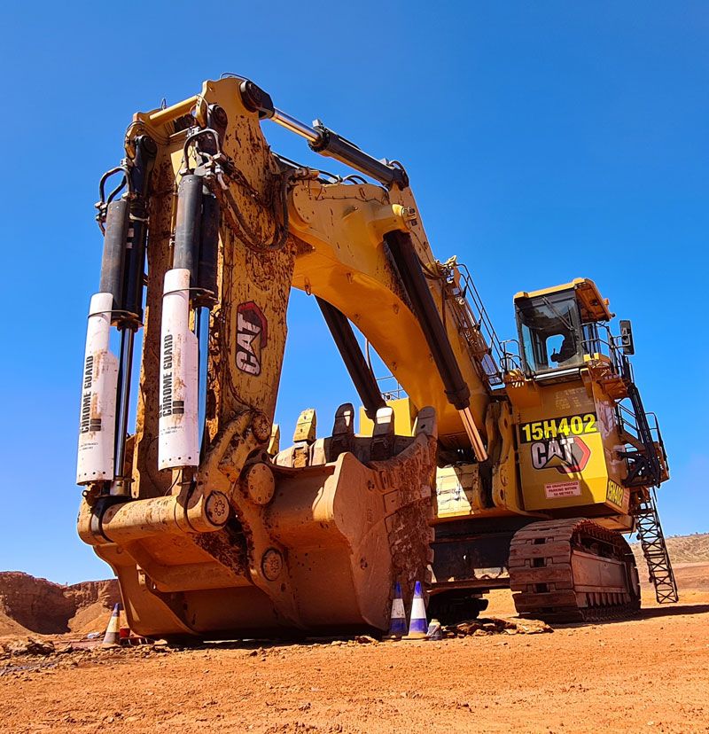 Specialised excavator cylinder guards