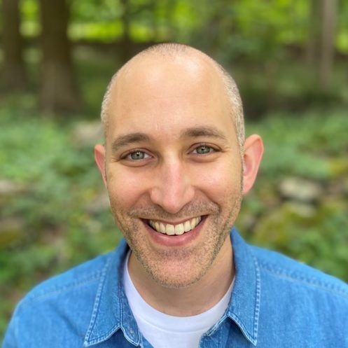 Personal Statement & Resume Review Services | Diversity in Nurse ...