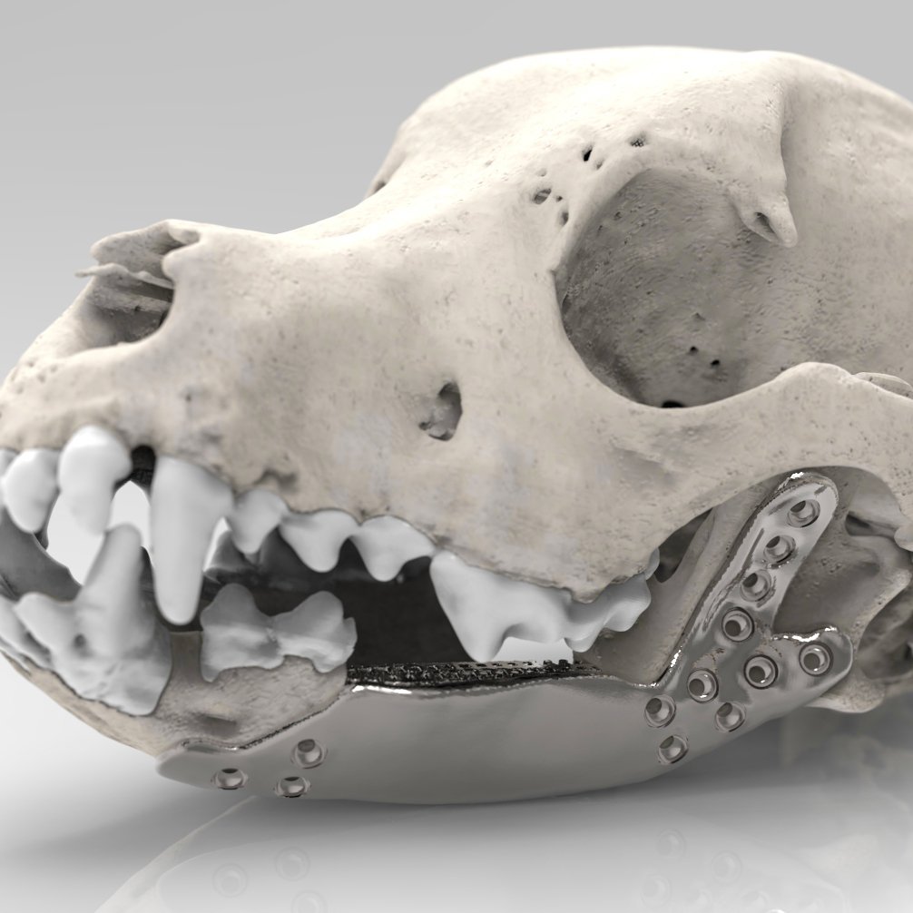 OsteoPlus I Simply Life Changing Orthopaedics Supplies