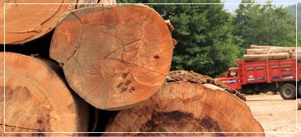 Maderera Fremar - Maderera en Villa María del Triunfo