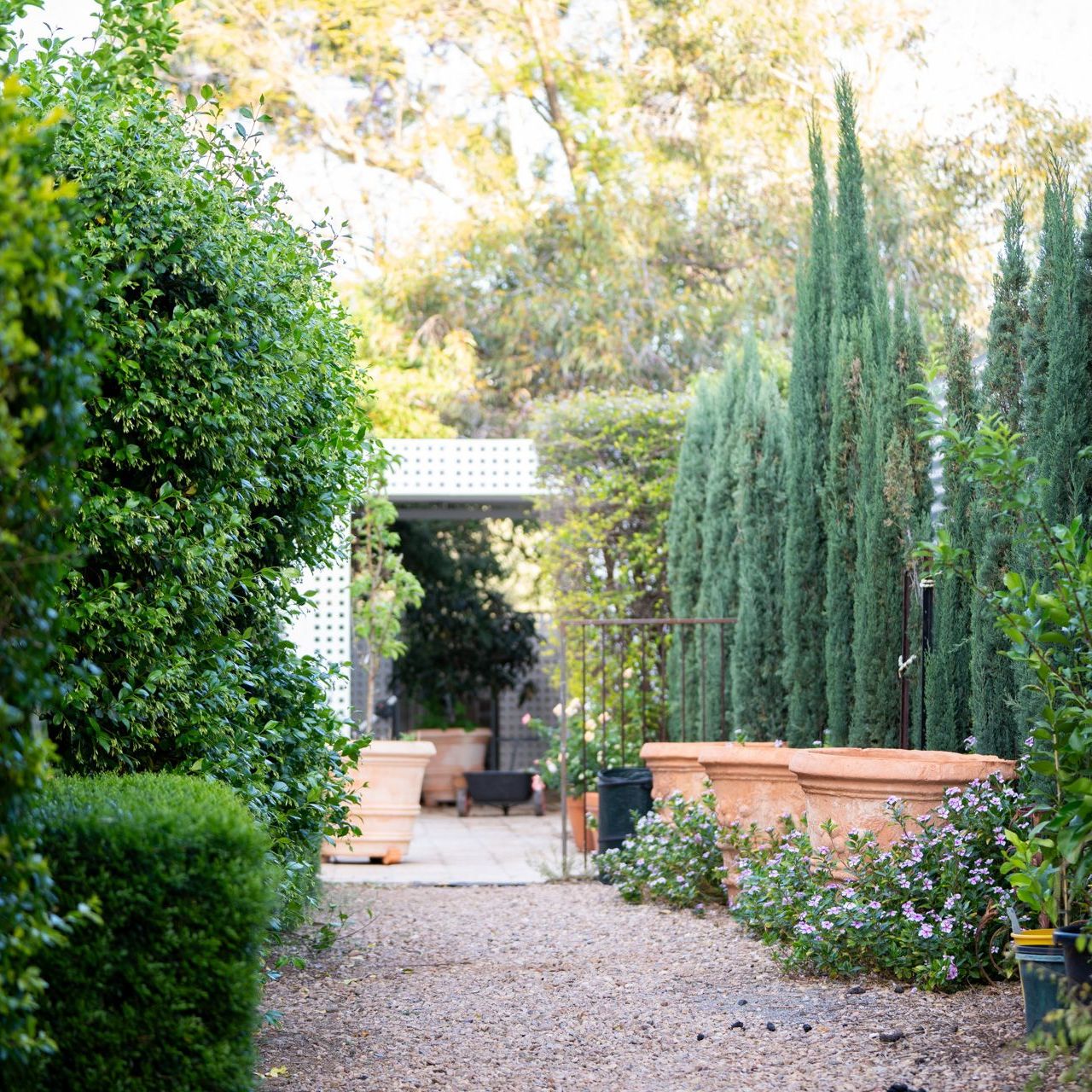 Landscaping Alice Springs | Garden Secrets & Designs