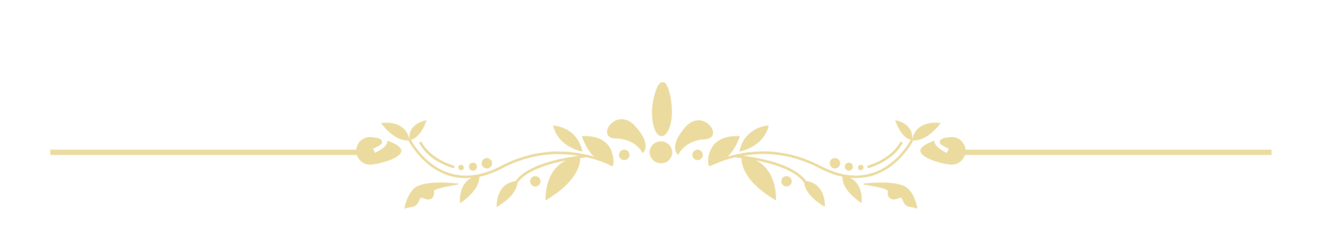 Gallery | Fetal Photos by Cara