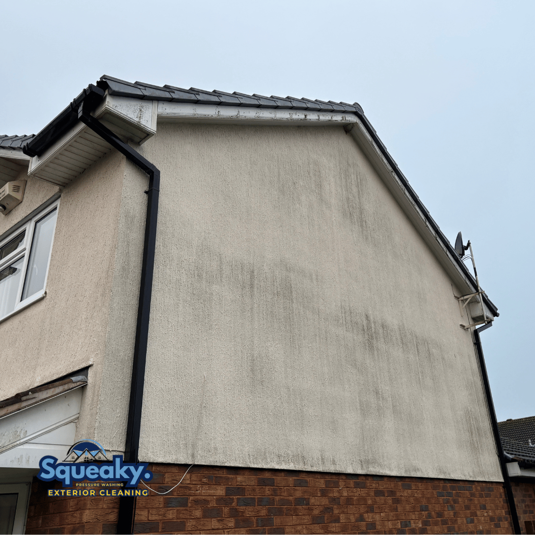 Render Cleaning Solihull | Removing Algae Render Stains