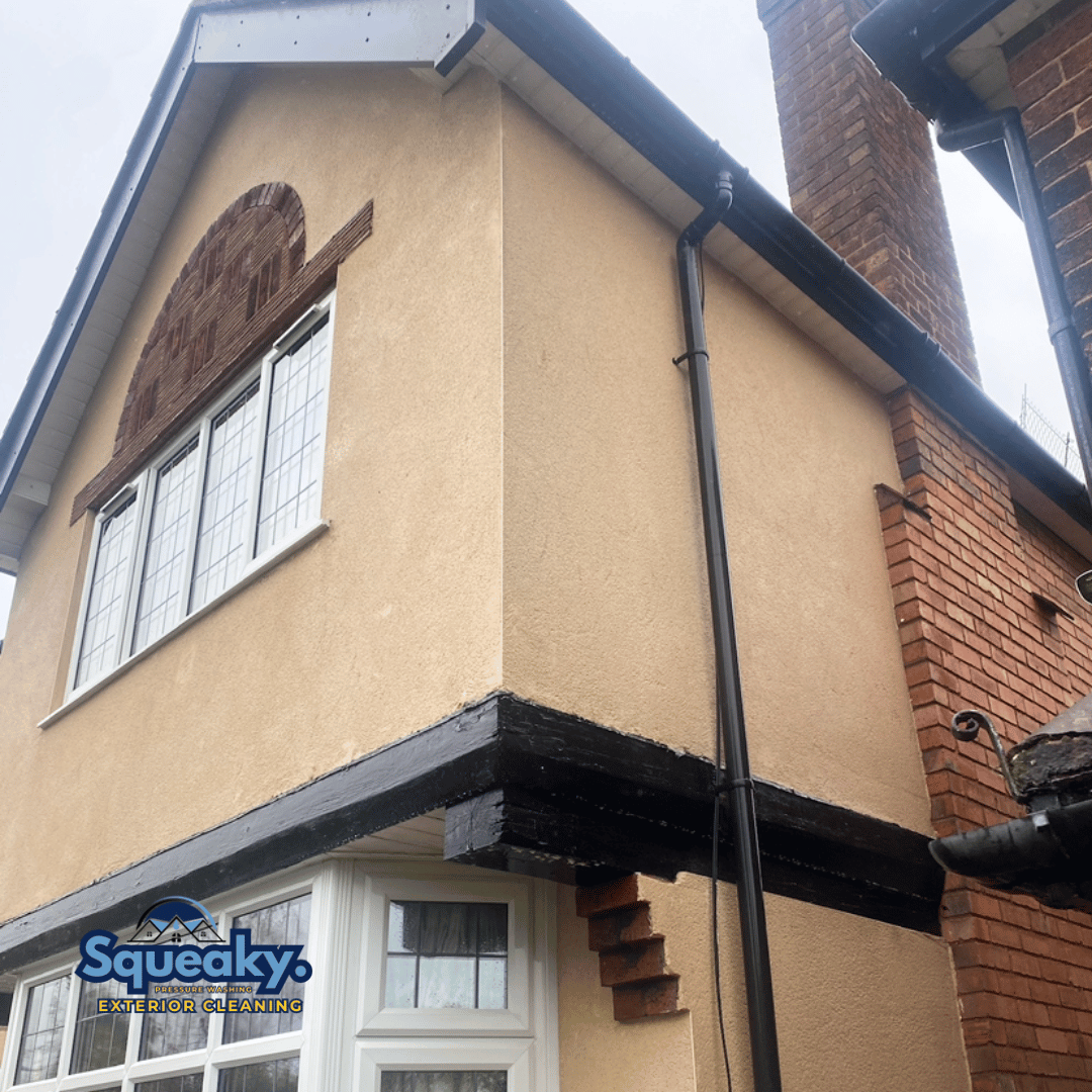 Render Cleaning Solihull | Removing Algae Render Stains