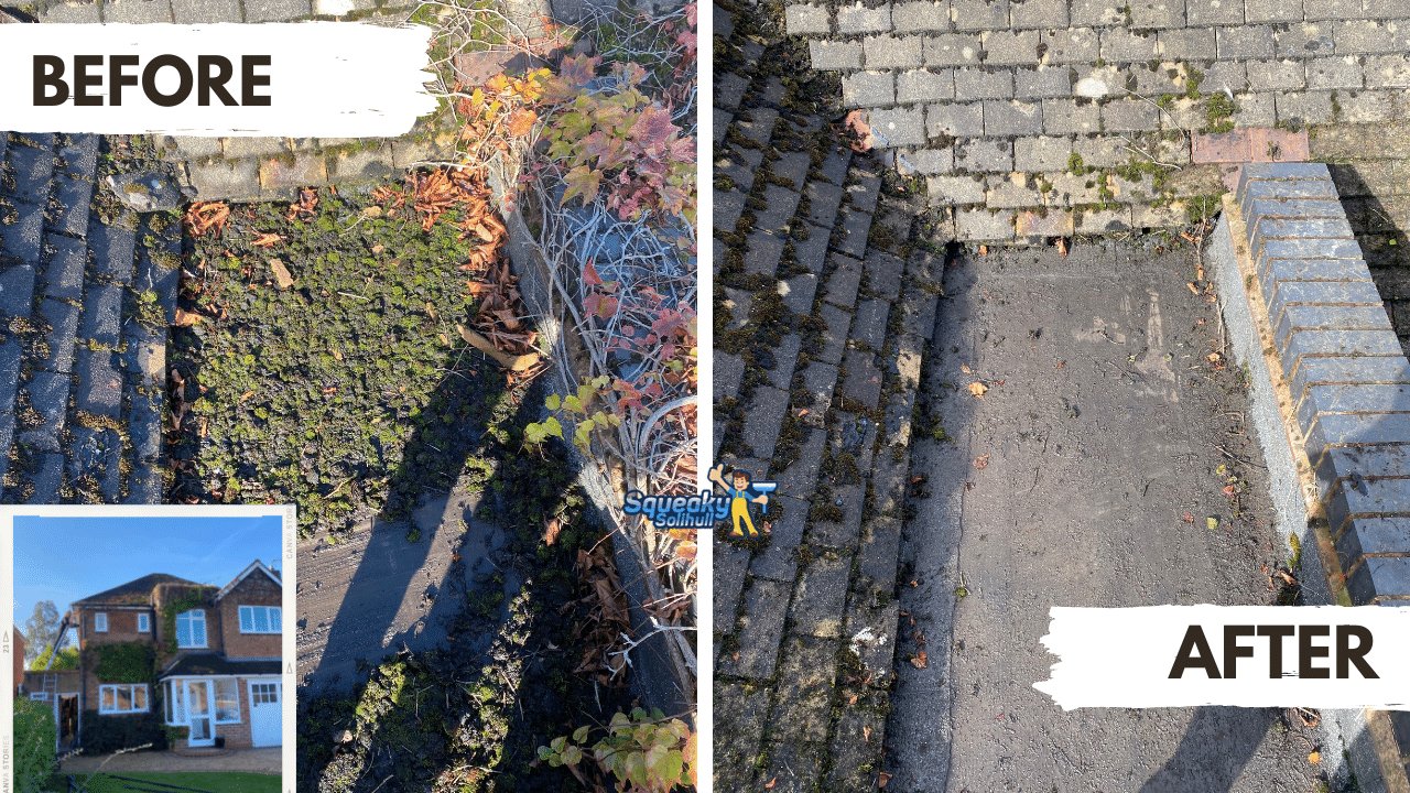 Ivy Removal Service Solihull, Birmingham & Warwickshire