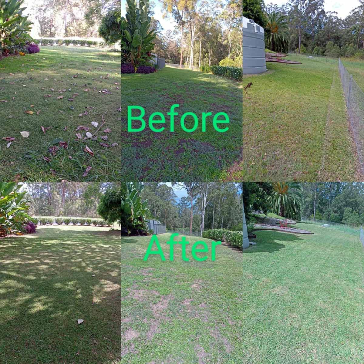 TJL Lawn Maintenance | Gardener in Port Macquarie
