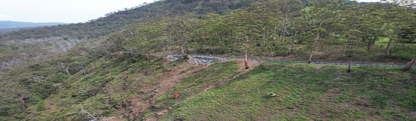 HEAD ROAD DRFA RECONSTRUCTION - SCENIC RIM REGIONAL COUNCIL