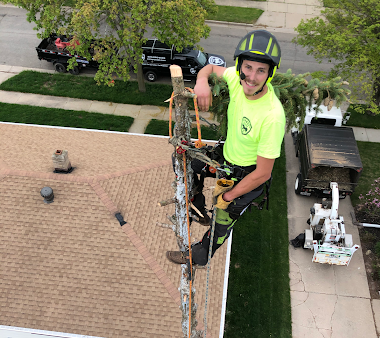 Canopy Cops Tree Service